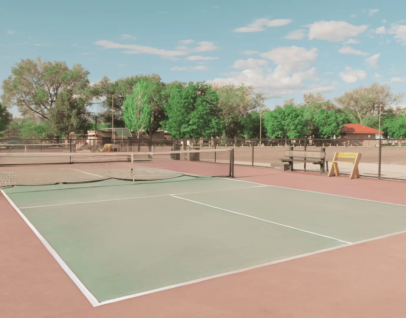 The Science of Pickleball and Strategies behind the Sport